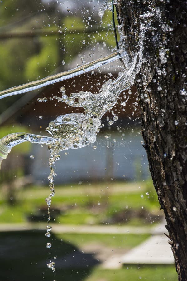 Hands Hold a Bottle of Water and Under Pressure, Sprinkle with a Jet of ...