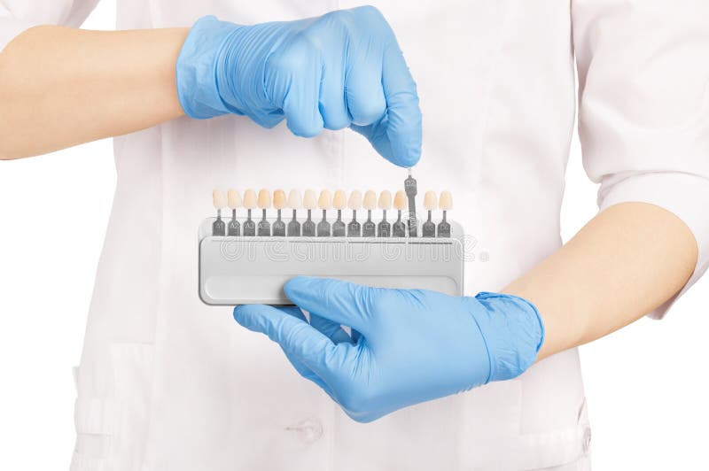 Hands Hold a Palette of Shades of Teeth Stock Image - Image of color ...