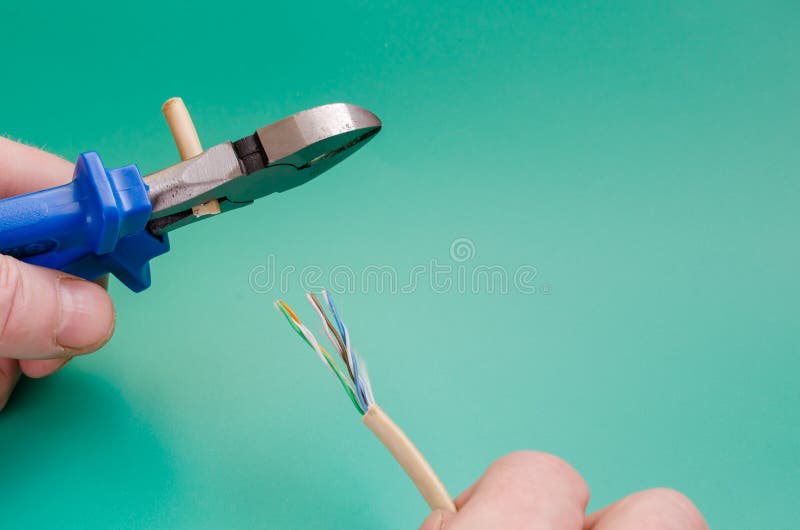 Hands Hold Wire Cutters and LAN Cable Stock Image - Image of ...