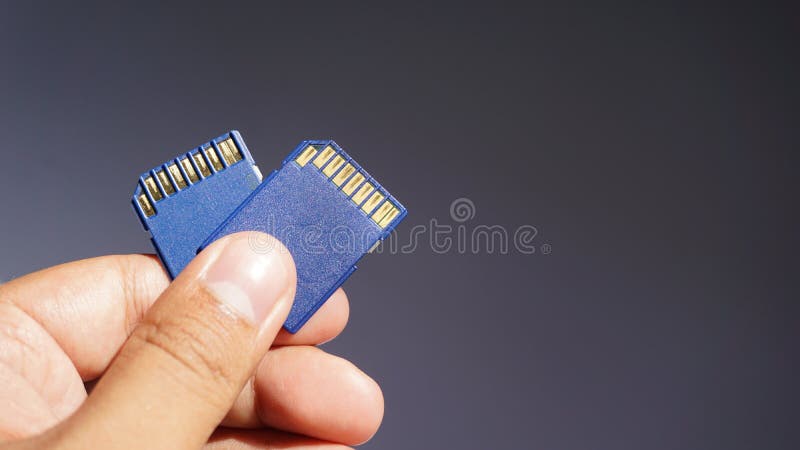 Hands Holding Blue Sd Cards Stock Photo - Image of purple, font: 225610932