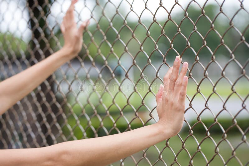 Hands Holding on Chain Link Fence Stock Photo - Image of curfews, fear ...