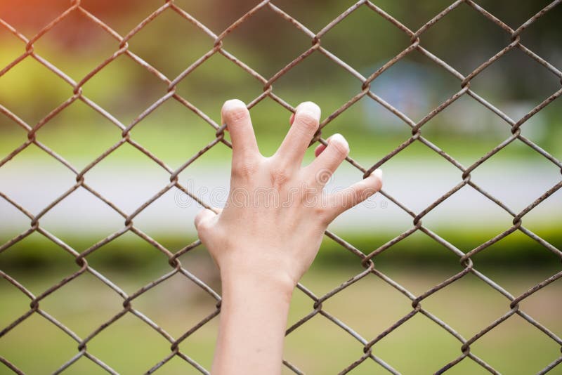 Hands, Link and Circle with Teamwork and Blue Sky with Low Angle ...