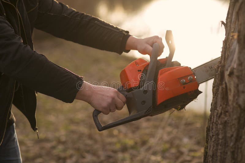 Male worker sawing a board stock image. Image of carpenter - 58428375