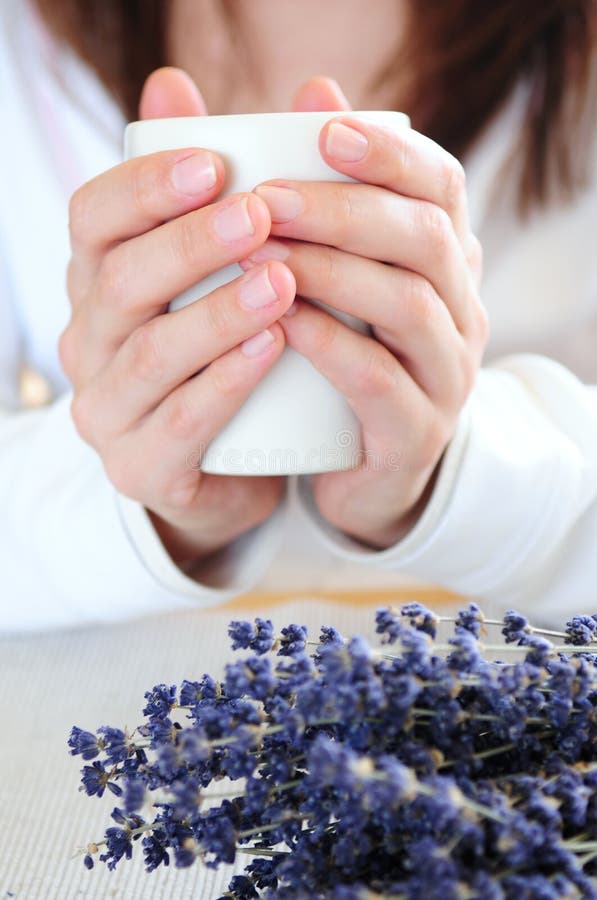 Hands holding a cup stock photo. Image of casual, aromatherapy - 4980606