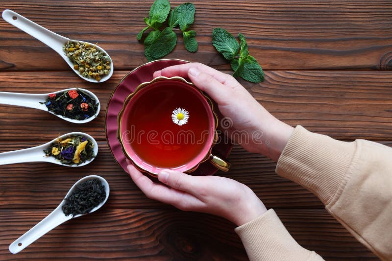Hands Holding a Cup of Herbal Tea with Various Loose Leaf Tea Blends. a ...