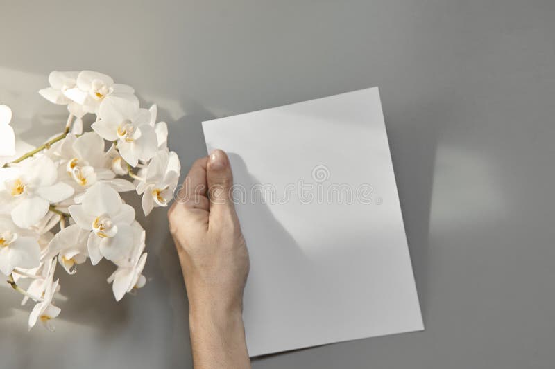 A5 Form Stock Photos - Free & Royalty-Free Stock Photos from Dreamstime