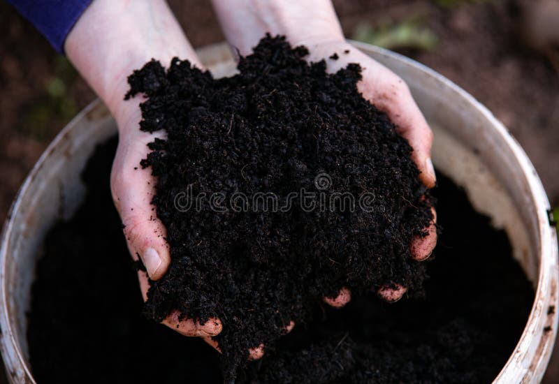 Home Manure Fertilizer for Vegetable Garden Stock Image - Image of ...