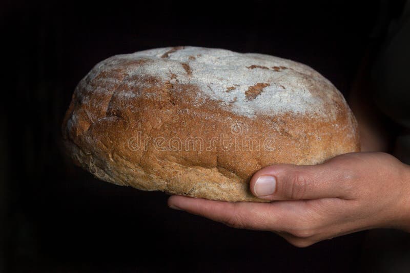 Hands Holding Fresh Round Bread Stock Image - Image of culture, kitchen ...