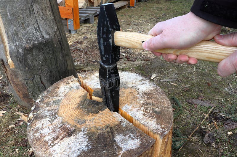 Hands Holding a Hammer Hammer an Iron Wedge into a Log. Stock Image ...