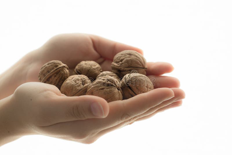 Walnuts stock photo. Image of concepts, handful, horizontal - 115531746