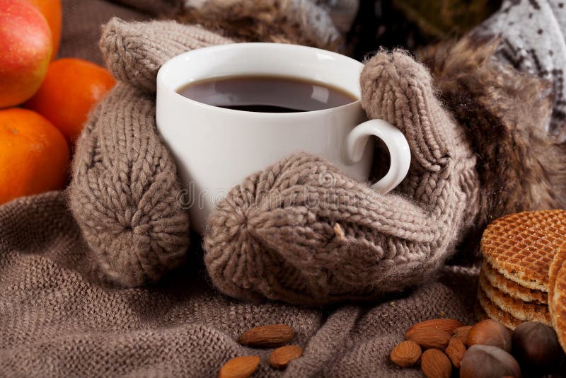 Hands holding hot tea stock photo. Image of white, nuts - 36932654