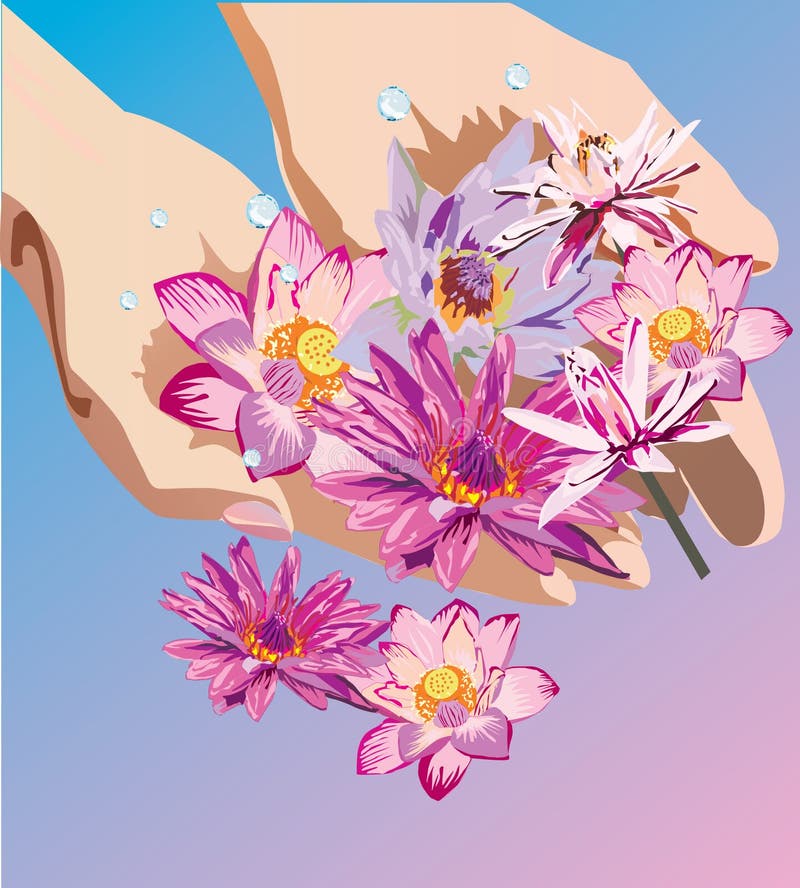 Hands holding lotus stock illustration. Illustration of petal - 6269355
