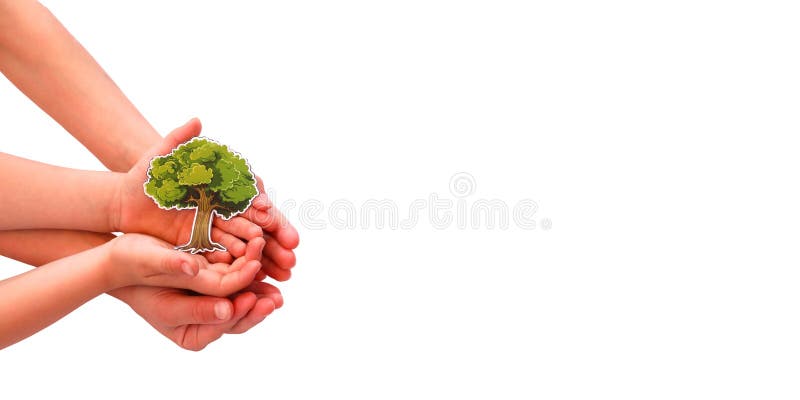 Hands Holding Paper Tree, Business Concept Stock Photo - Image of ...