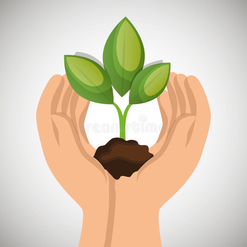 Hands Holding Plant Green Concept Ecological Stock Illustration ...