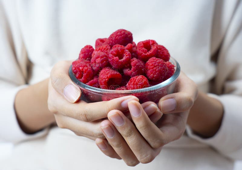 Hands Holding Raspberries in a Bowl Stock Photo - Image of crop ...