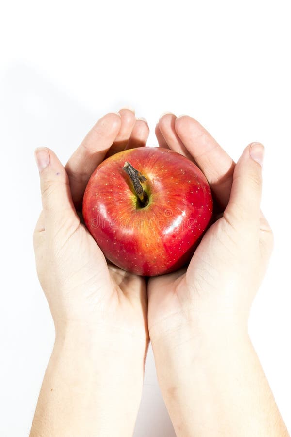 Hands holding red apple stock image. Image of store, isolated - 46766957