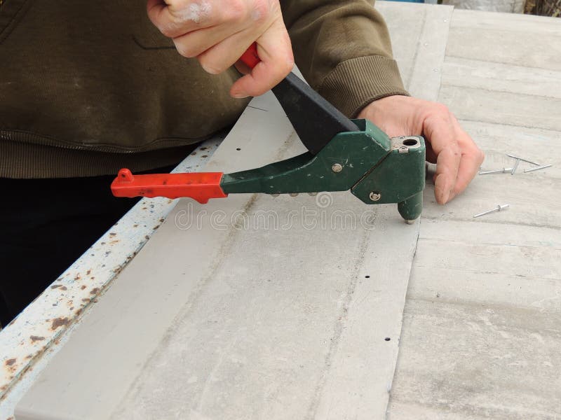 Hands Holding a Rivet Gun and Inserting Staples into an Iron Sheet ...