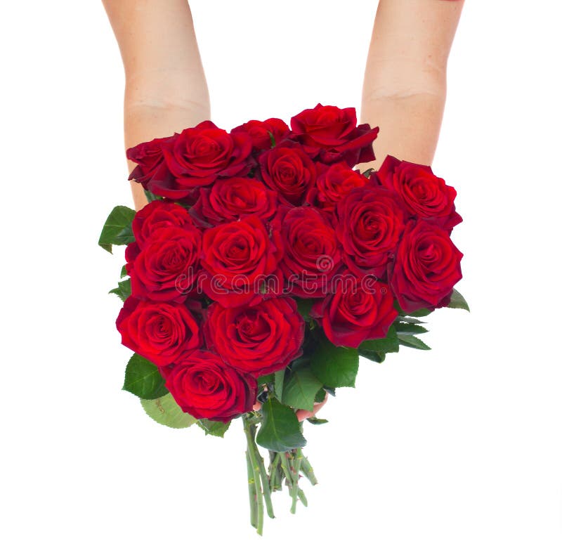 Hands holding roses stock image. Image of concept, delivering - 48910065