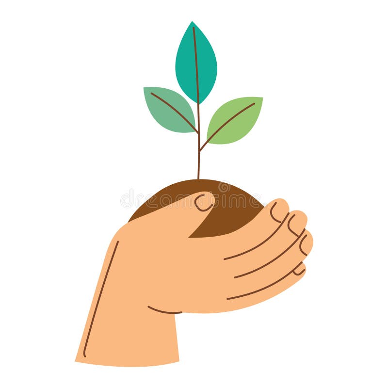Hands Holding Sapling Illustration Stock Illustration - Illustration of ...