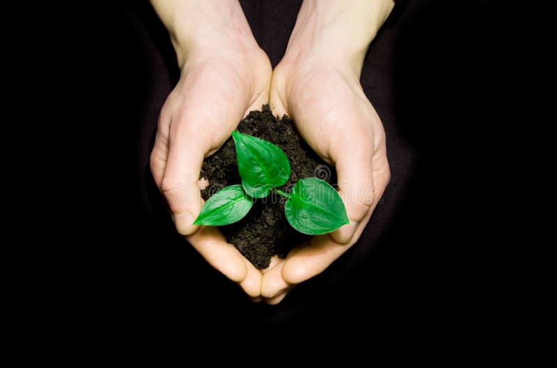 Hands holding sapling stock image. Image of move, environment - 262379999
