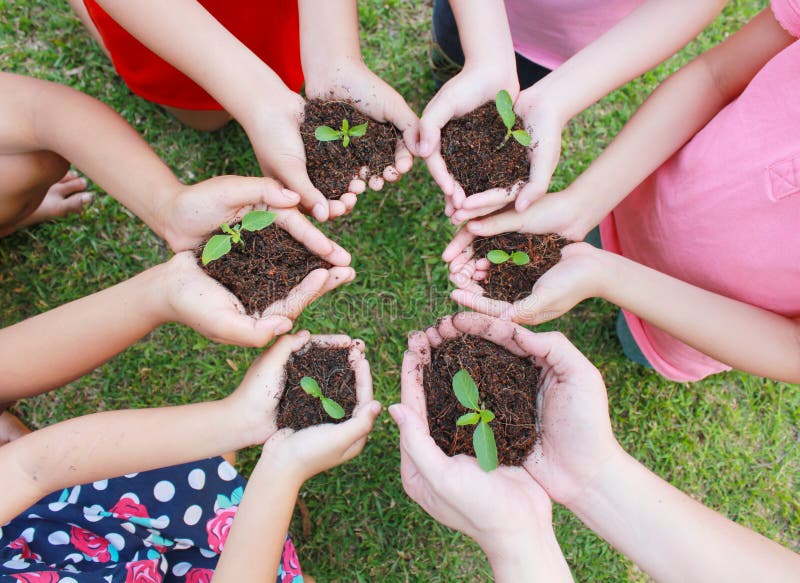 Hands Holding Sapling in Soil Surface. Stock Photo - Image of land ...