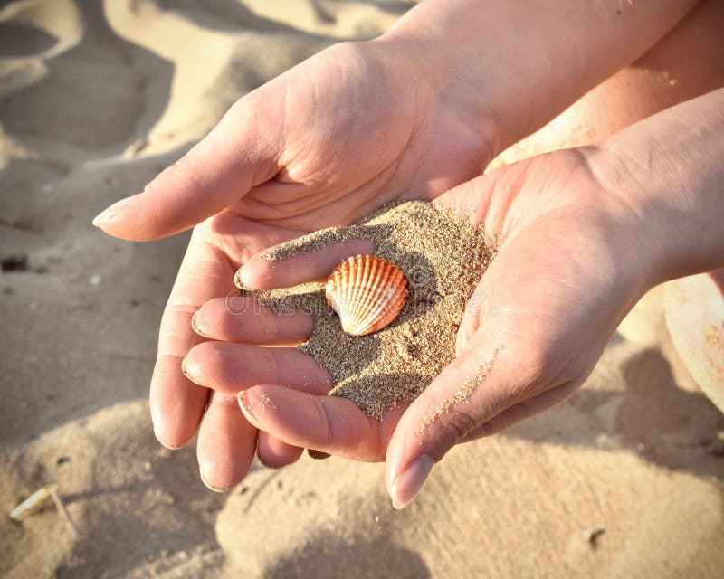 Holding a seashell stock photo. Image of summertime, finder - 27434608