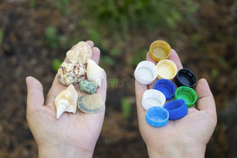 Hands Holding Several Beautiful Sea Shells and Plastic Caps from ...