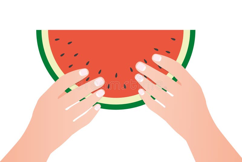 Hands Holding Slice of Watermelon Fruit Stock Vector - Illustration of ...