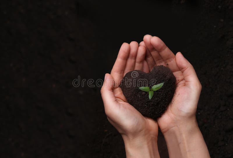 Hands Holding Soil in the Shape of a Heart.Earth Day Concept Stock ...