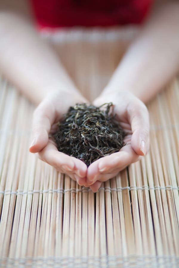 Hands holding a tea stock photo. Image of agriculture - 18041548