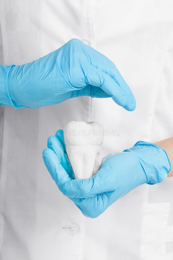Hands holding tooth gypsum stock image. Image of impression - 54242495