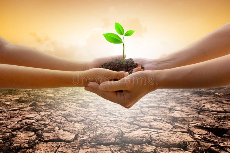 54+ Environment hands holding globe Free Stock Photos - StockFreeImages