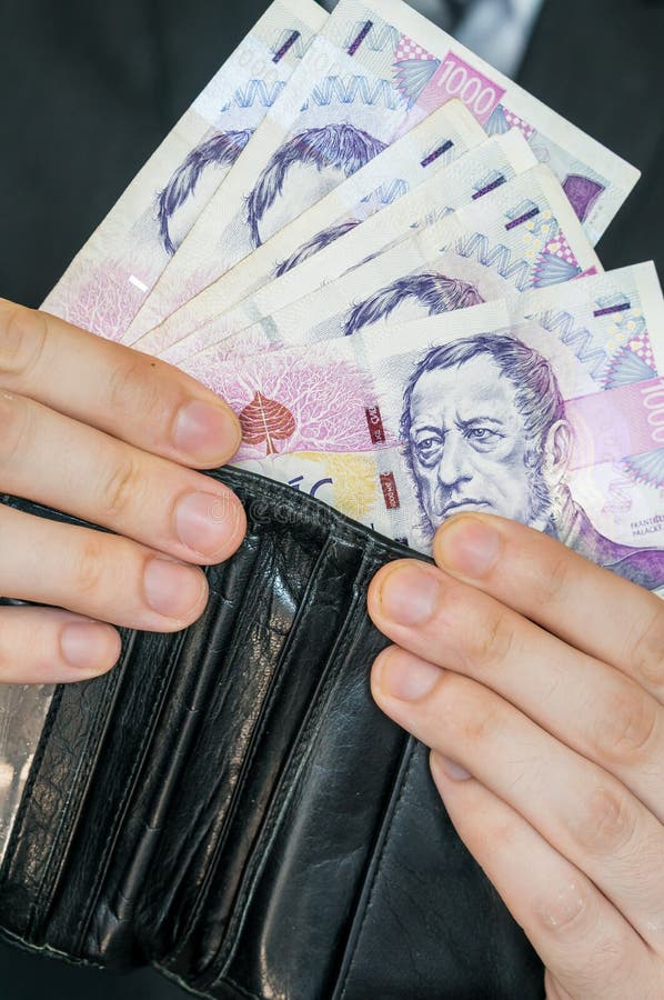 Hands Holding Wallet with Money Stock Image - Image of holding, purse ...