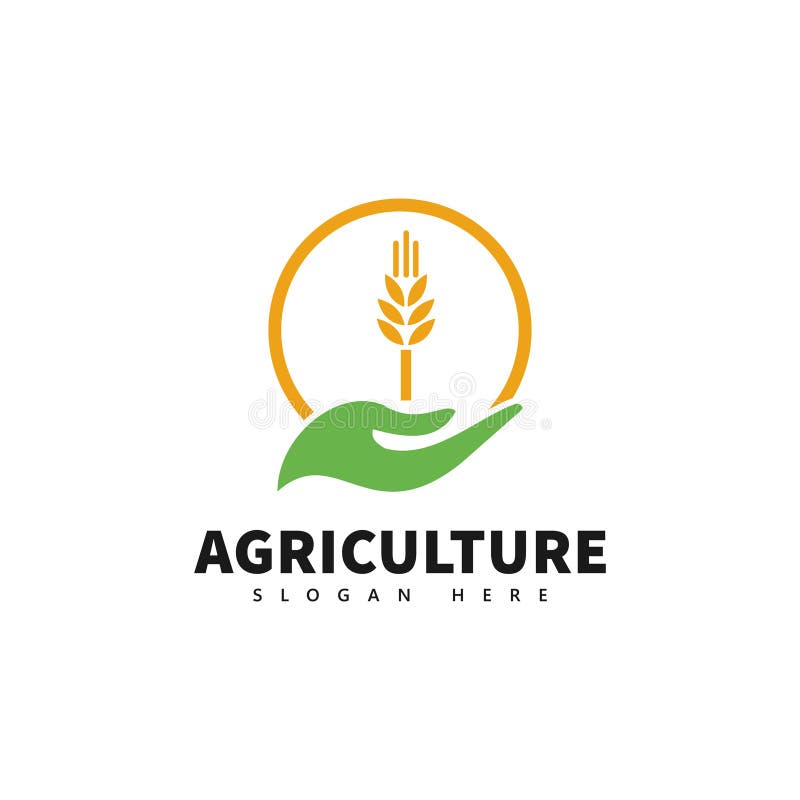 Hands Holding Wheat - Sustainable Farming Logo Design. Stock Vector ...