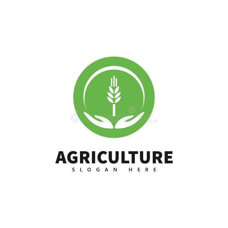 Hands Holding Wheat - Sustainable Farming Logo Design. Stock Photo ...