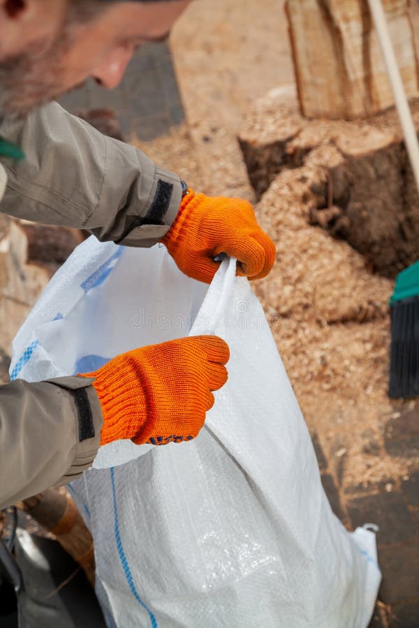 Hands Holding White Trash Bag Stock Image - Image of nature, protection ...
