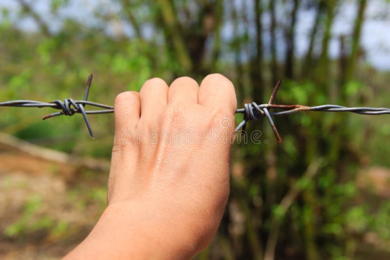 Hands Holding Wire Fence for Freedom Stock Photo - Image of hand, peace ...