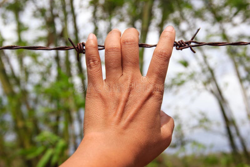 Hands Holding Wire Fence for Freedom Stock Image - Image of metal ...