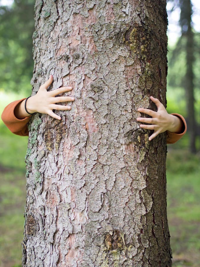 15+ Hands hugging tree Free Stock Photos - StockFreeImages