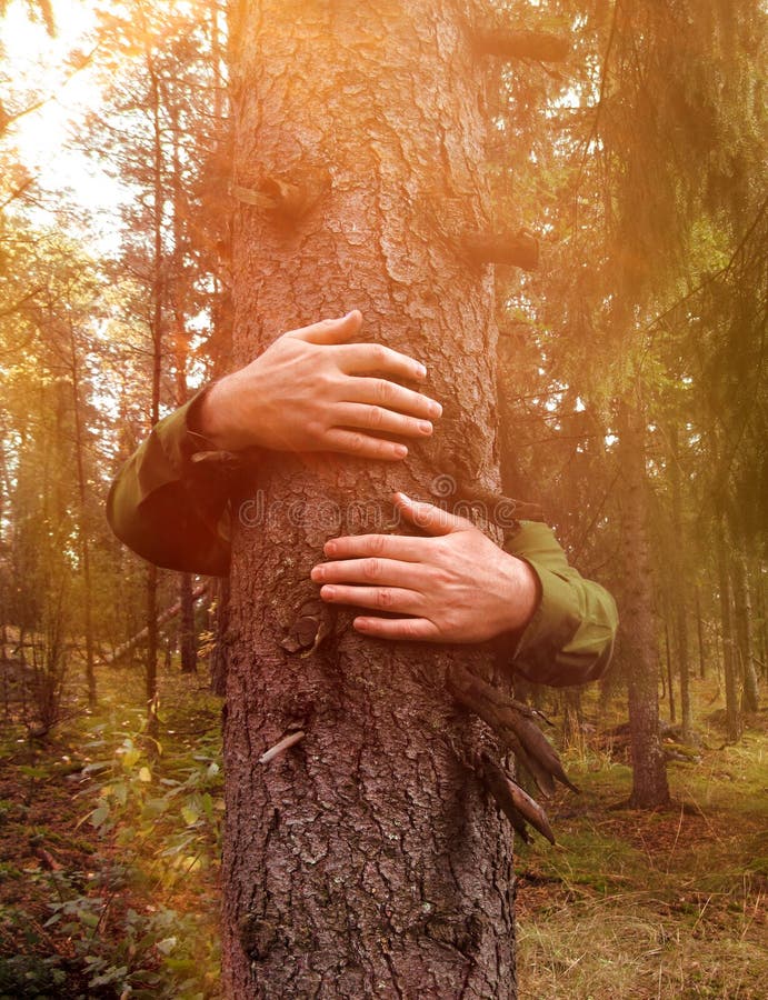 Hands hugging a tree stock photo. Image of connection - 187086322