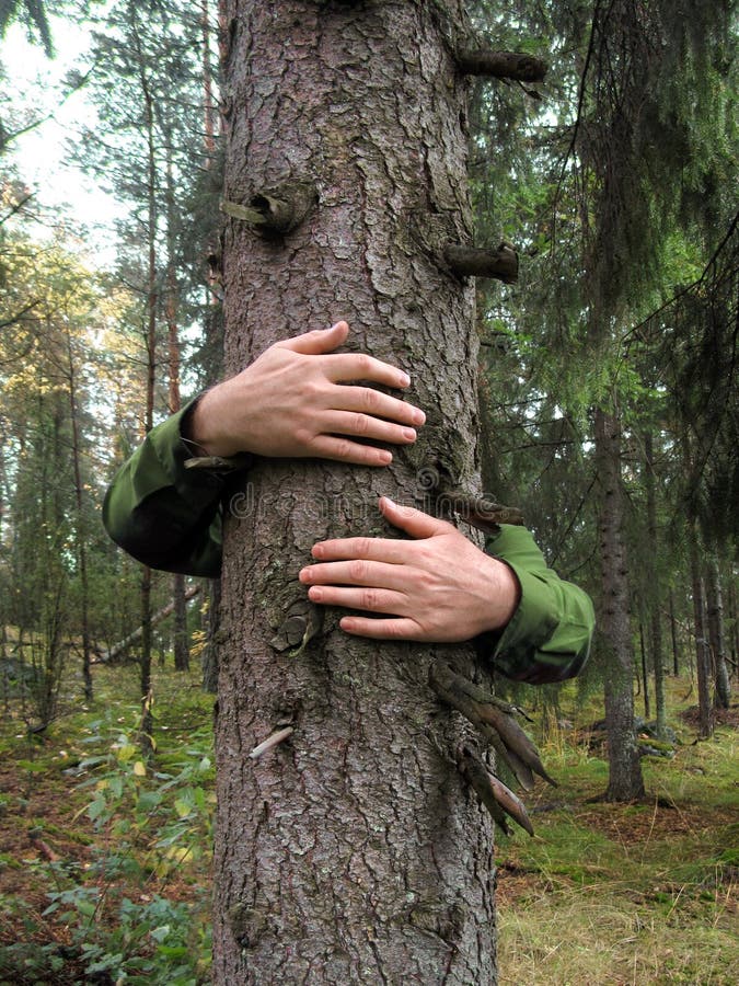 Hands hugging a tree stock image. Image of hand, passion - 187086347