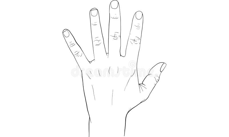 Simple Back Hand Drawing