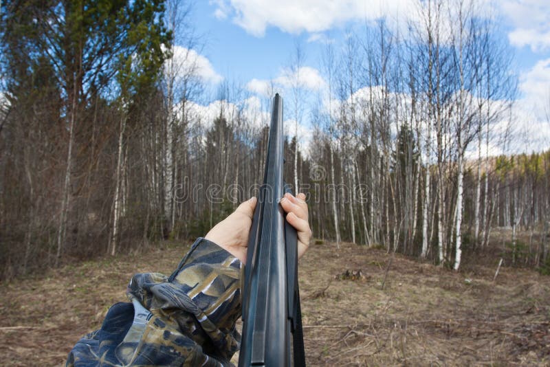 Hands of Hunter Waiting a Prey with Shotgun Stock Image - Image of ...