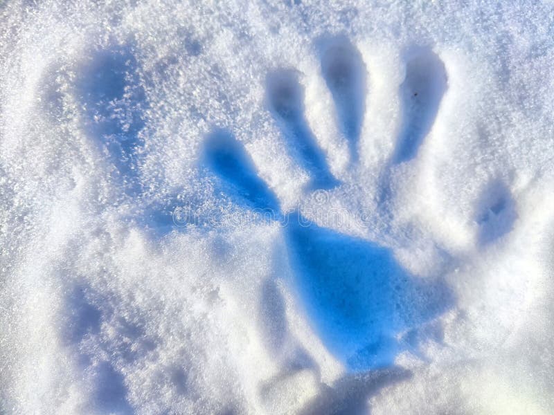 Hands Imprinted in Fresh Snow at a Winter Landscape Stock Photo - Image ...