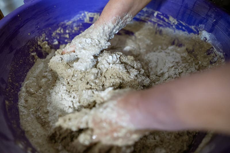 Hands Kneading Dough in a Large Plastic Container during the Process of ...