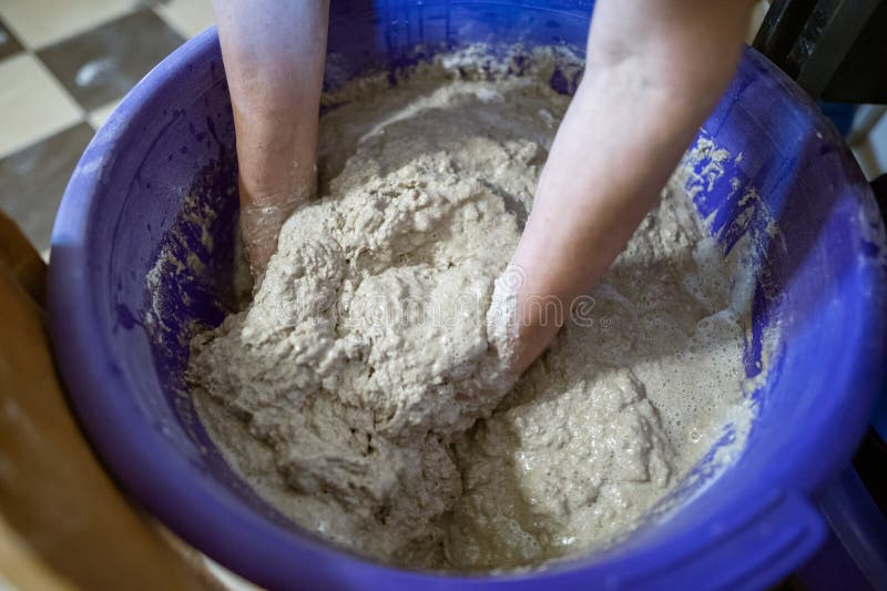 Hands Kneading Dough in a Large Plastic Container during the Process of ...