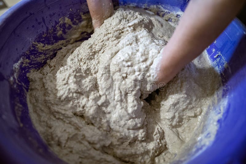 Hands Kneading Dough in a Large Plastic Container during the Process of ...