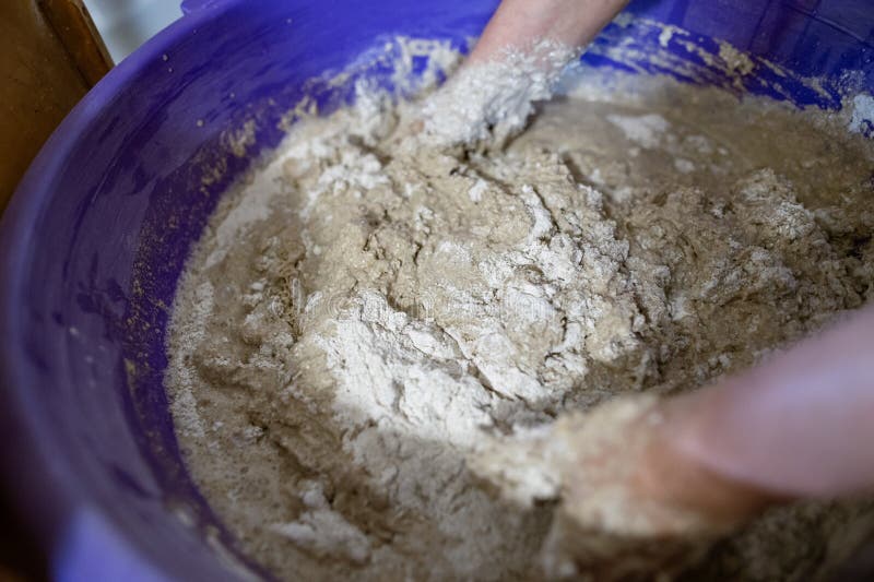 Hands Kneading Dough in a Large Plastic Container during the Process of ...