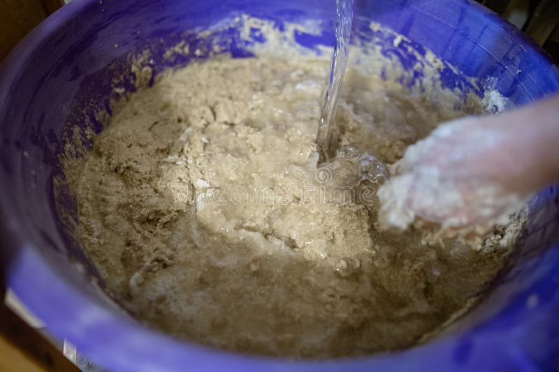 Hands Kneading Dough in a Large Plastic Container during the Process of ...