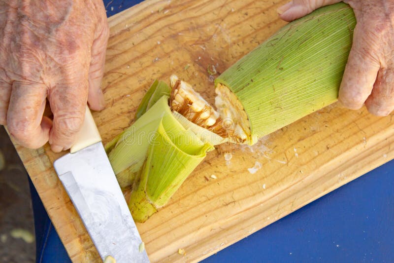 Hands of a Lady Cutting the Tip of the Corn Cob. Stock Image - Image of ...